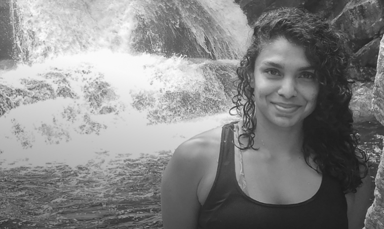 About us - SafariOffice